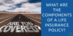 What are the Components of a Life Insurance Policy?